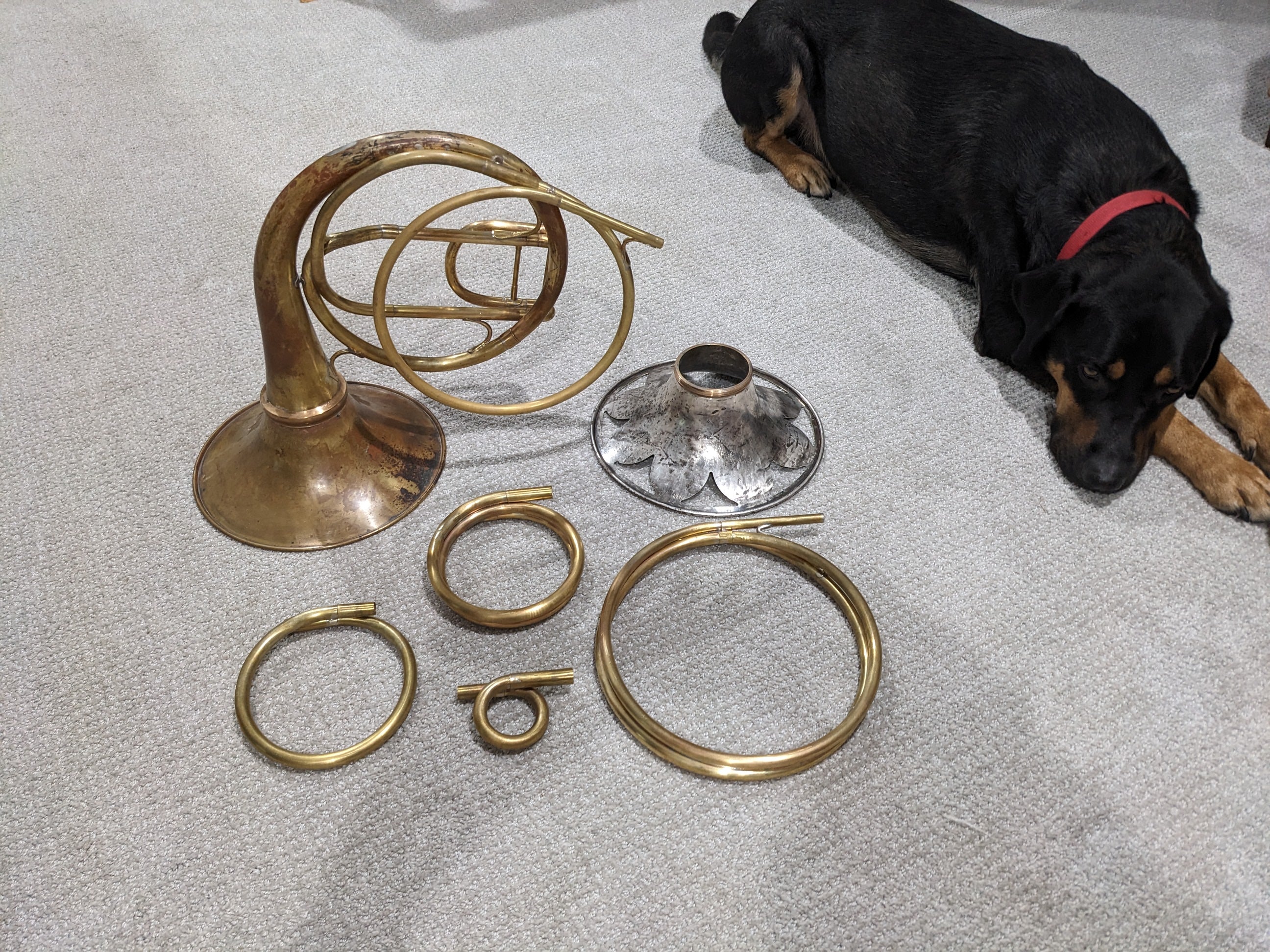 Custom Natural Horn -- Detachable Bell – Matt's Custom Horn Bells